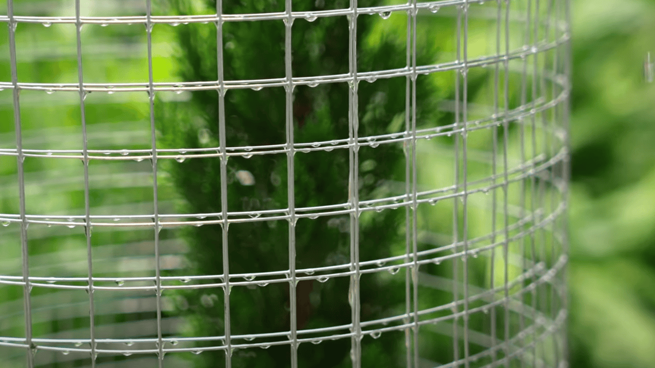 How to Start Garden Pest Control with Hardware Cloth: A Beginner's ...